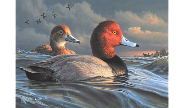 USFWS Announces Winner of 2019 Federal Duck Stamp Art Contest | An ...