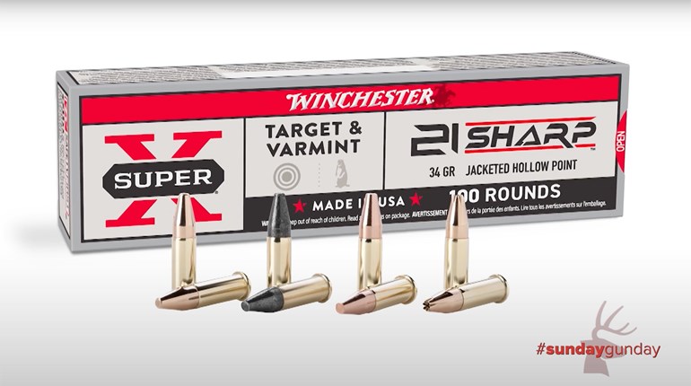 NRA Women | New Rimfire Cartridge: Winchester Ammunition Introduces 21 ...